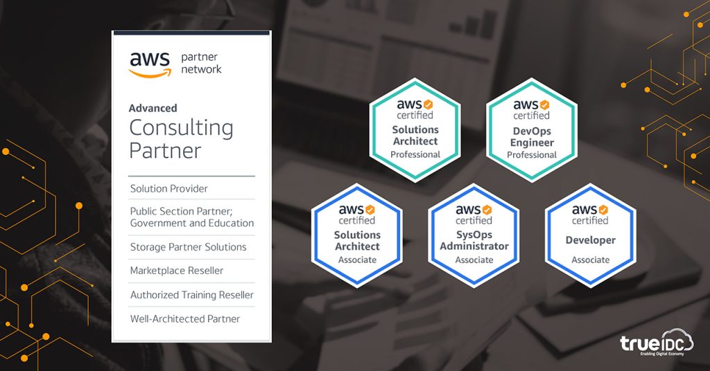 True IDC launches True IDC VMC Professional Services; adds VMware Cloud on AWS to transform the ...